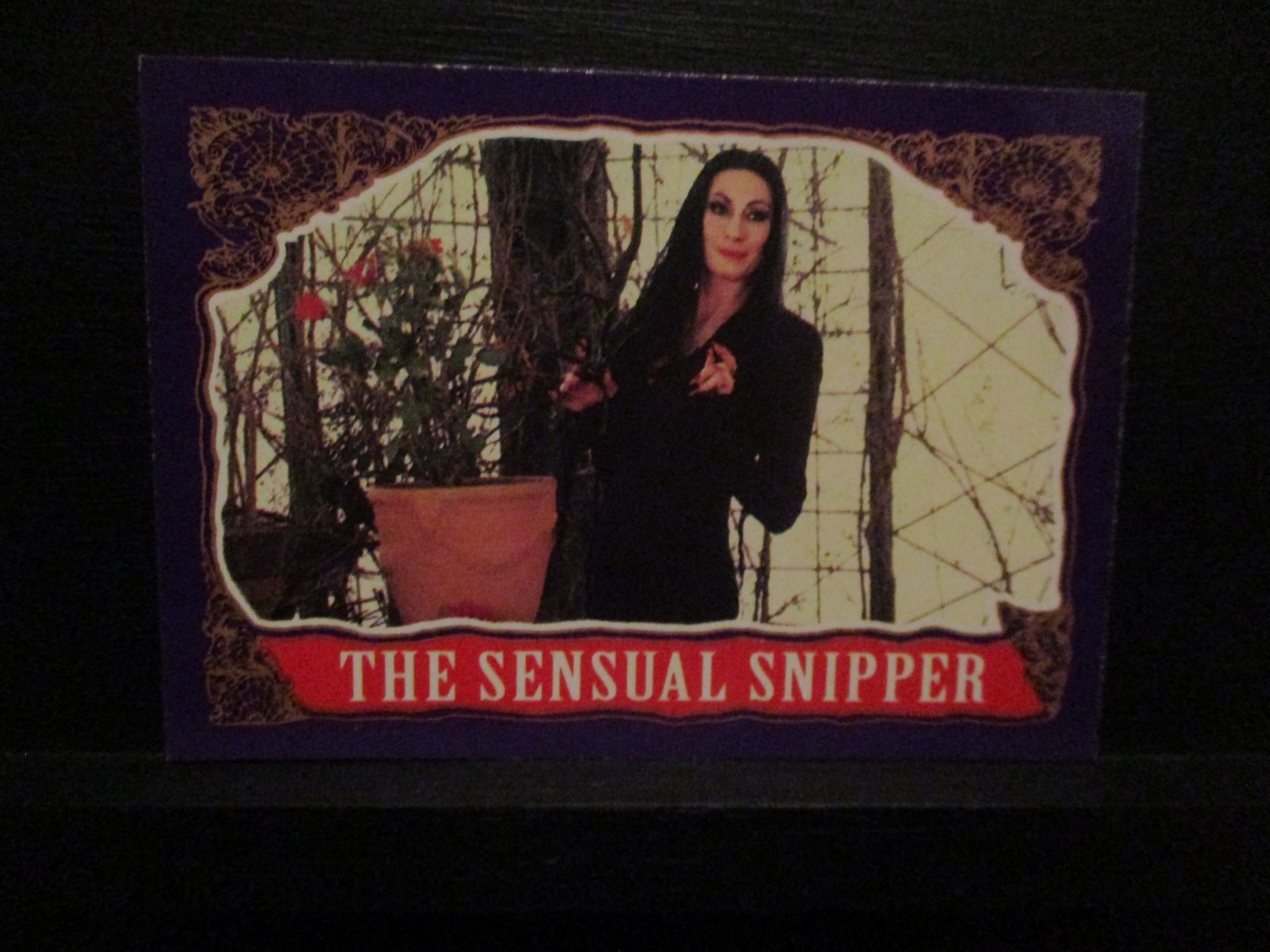 The Addams Family Trading Cards Single