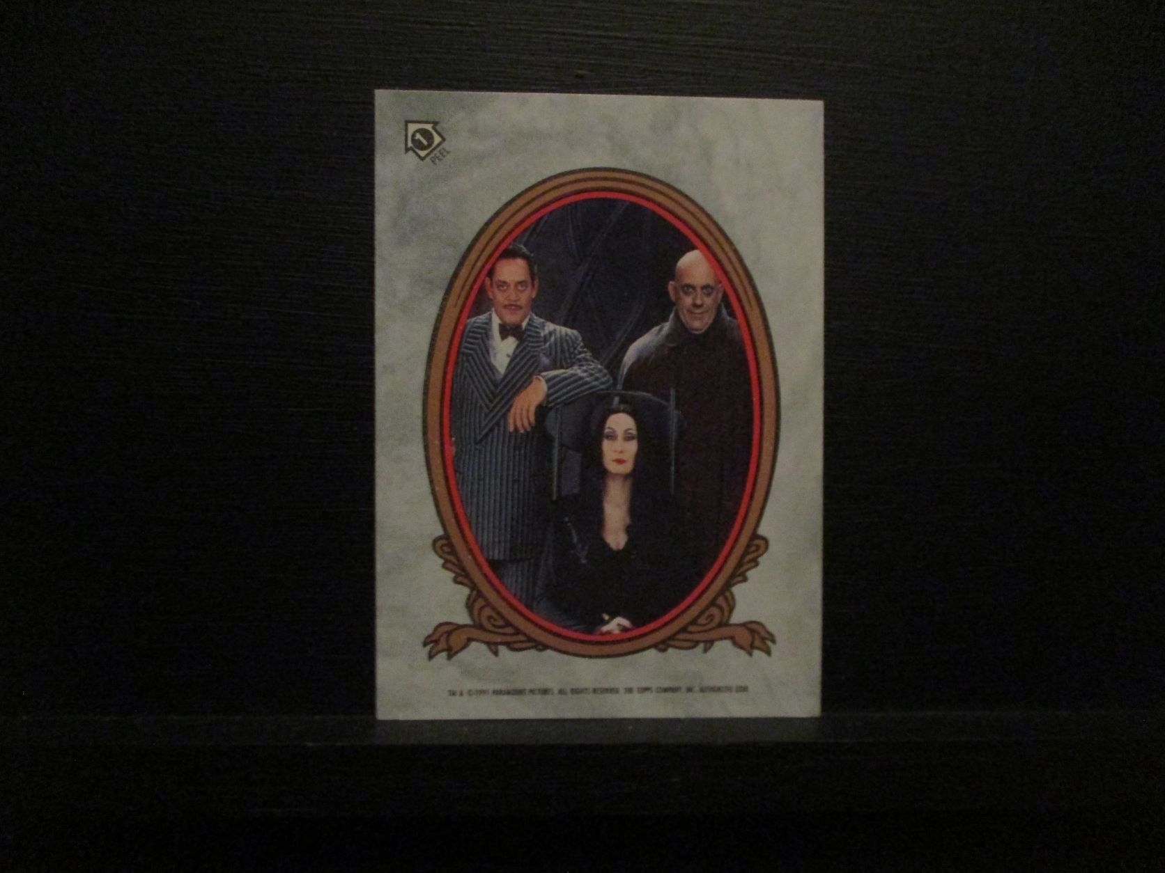 The Addams Family Stickers Single