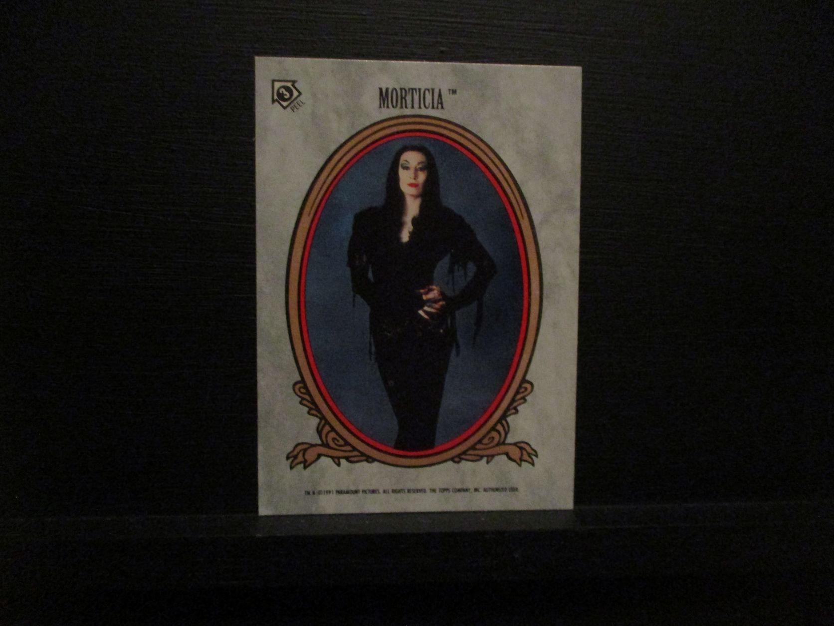 The Addams Family Stickers Single