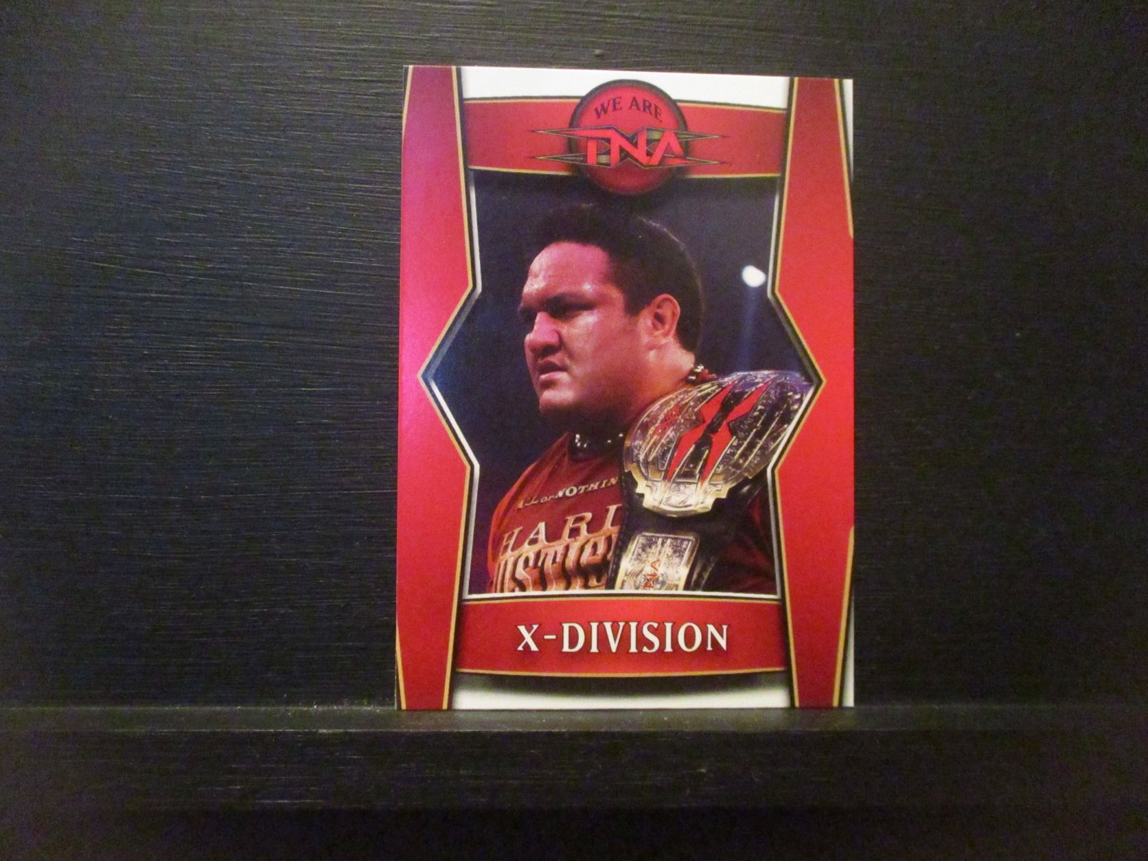 Wrestling TNA Impact T Authentic Trading Cards