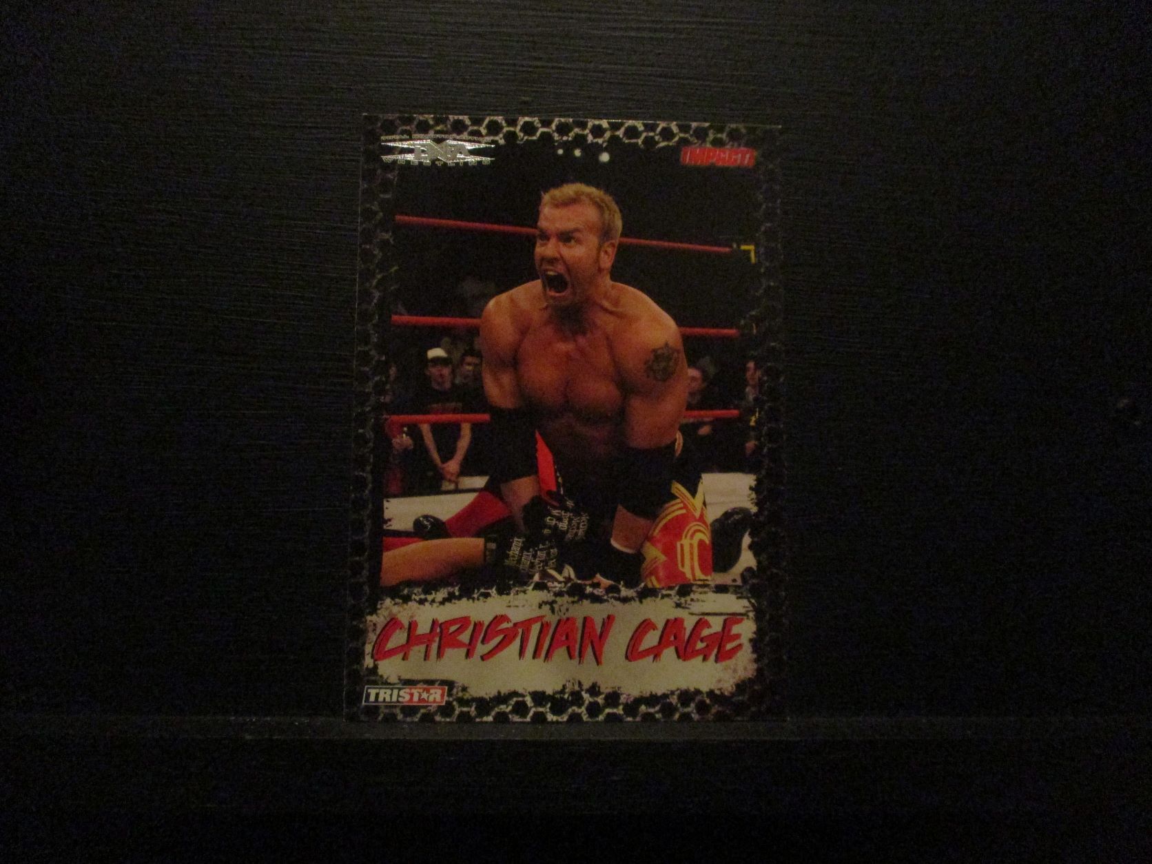 Wrestling Authentic Trading Cards