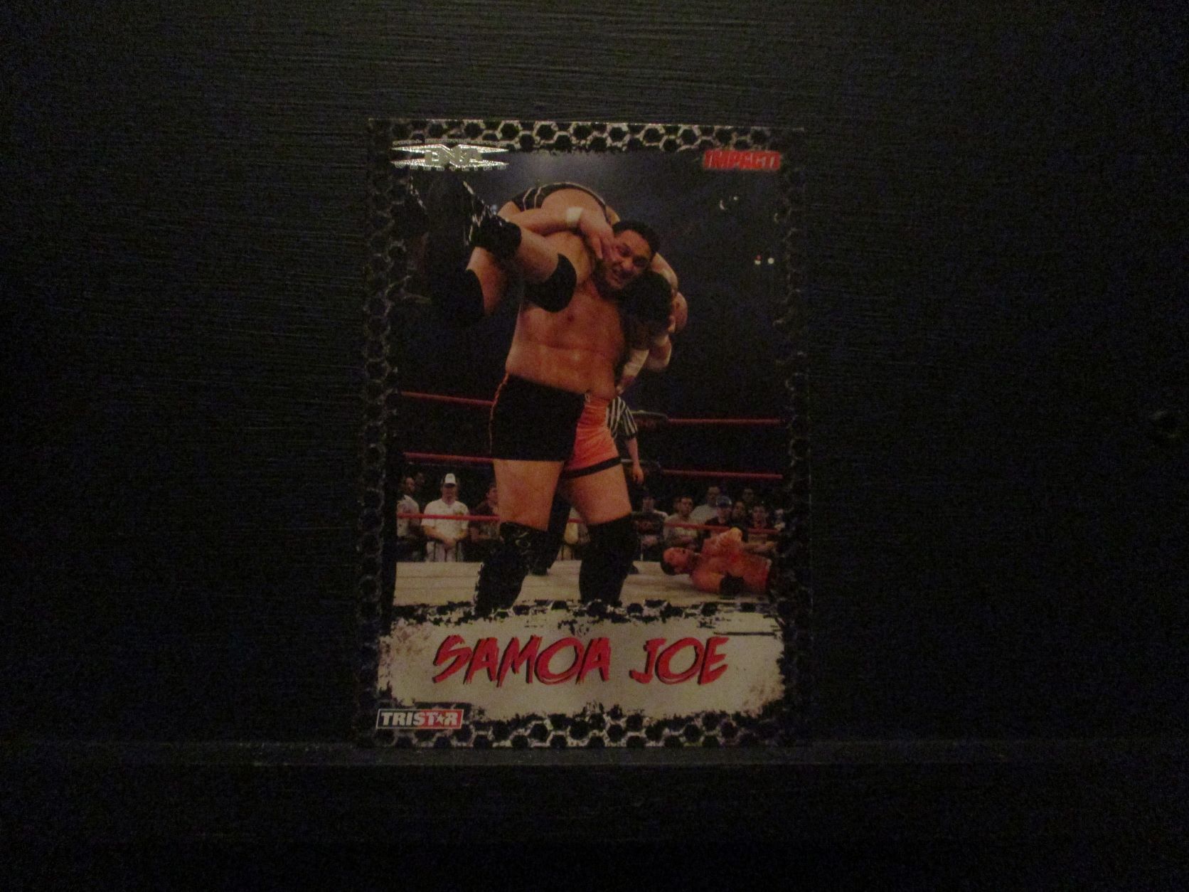 Wrestling Authentic Trading Cards