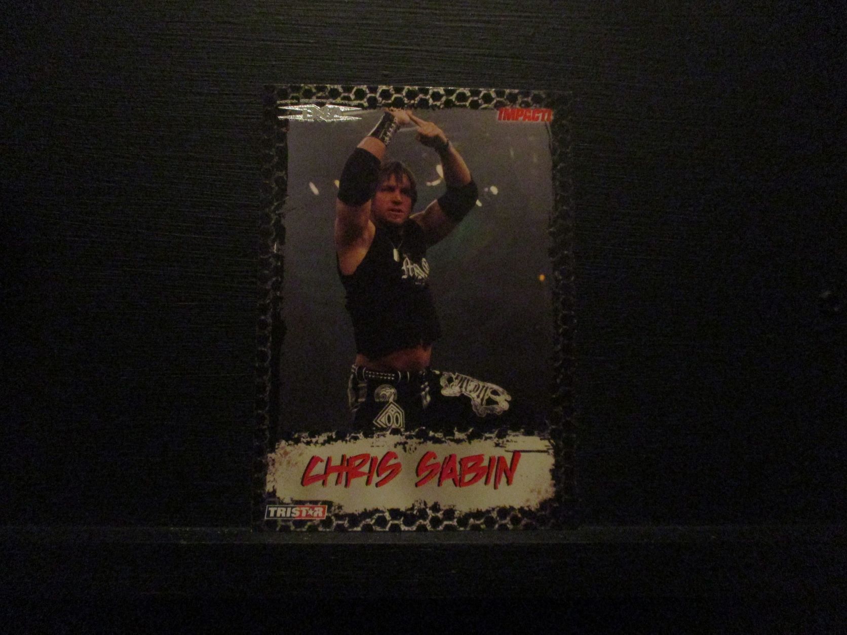 Wrestling Authentic Trading Cards