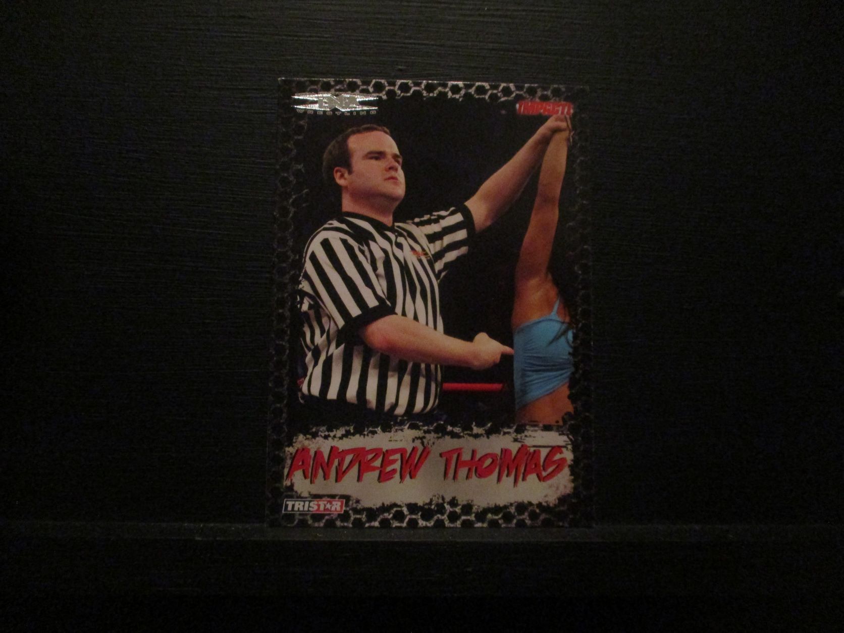 Wrestling Authentic Trading Cards